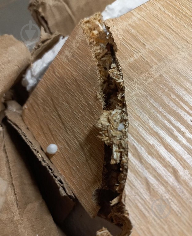 ᐉ УЦЕНКА! Шкаф ROKO Эконом распашный 900х2045х500 мм дуб сонома (УЦ ...