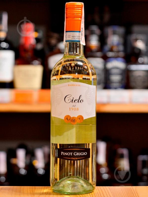 ᐉ Вино Cielo e Terra Cielo Pinot Grigio delle Venezie сухе біле 0,75 л ...