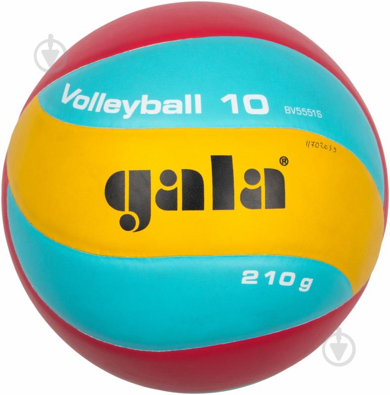 ᐉ Волейбольный мяч Gala Training BV5551SB р. 5 • Купить в Киеве ...