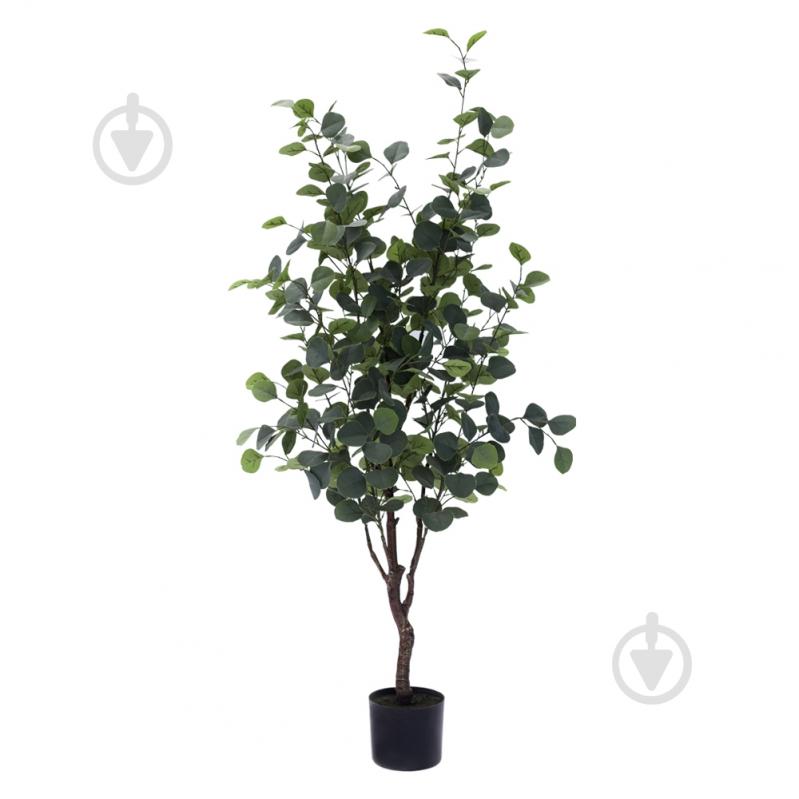 ᐉ Дерево штучне Eucalyptus 145 см TW-14 Engard • Краща ціна в Києві, Україні • Купити в Епіцентр К