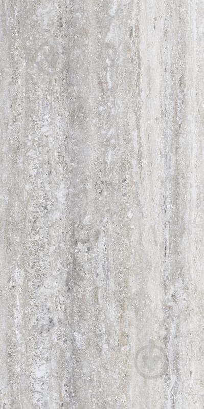 ᐉ Плитка Allore Group Treviso Silver F P R Mat 60x120 • Краща ціна в Києві, Україні • Купити в ...