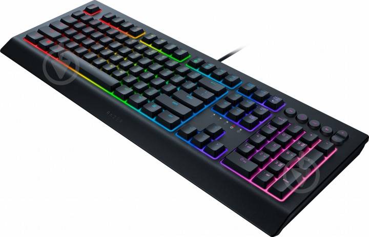 ᐉ Клавіатура Razer Cynosa V2 (RZ03-03400700-R3R1) black • Краща ціна в ...