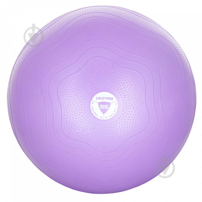 ᐉ Фитбол Livepro Anti Burst Core Fit Exercise Ball D55 Lp8201 55