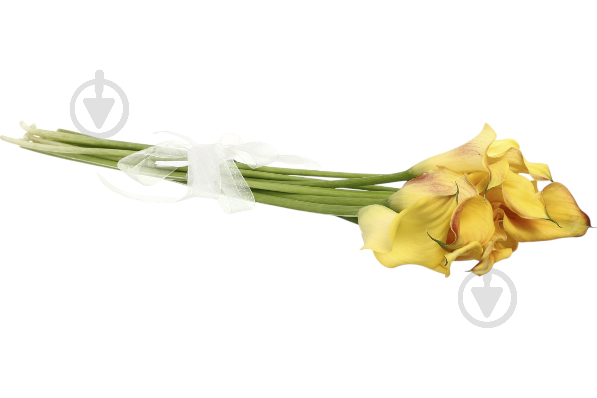 ᐉ Калла Captain Odeon 70 см помаранчевий • Краща ціна в Києві, Україні ...