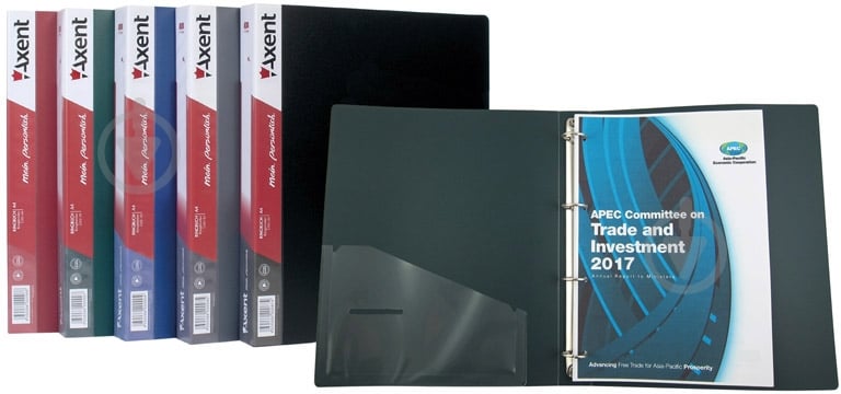 ᐉ Папка на 4-х кільцях 25 мм сіра 1208-03-a Axent • Краща ціна в Києві, Україні • Купити в Епіцентр