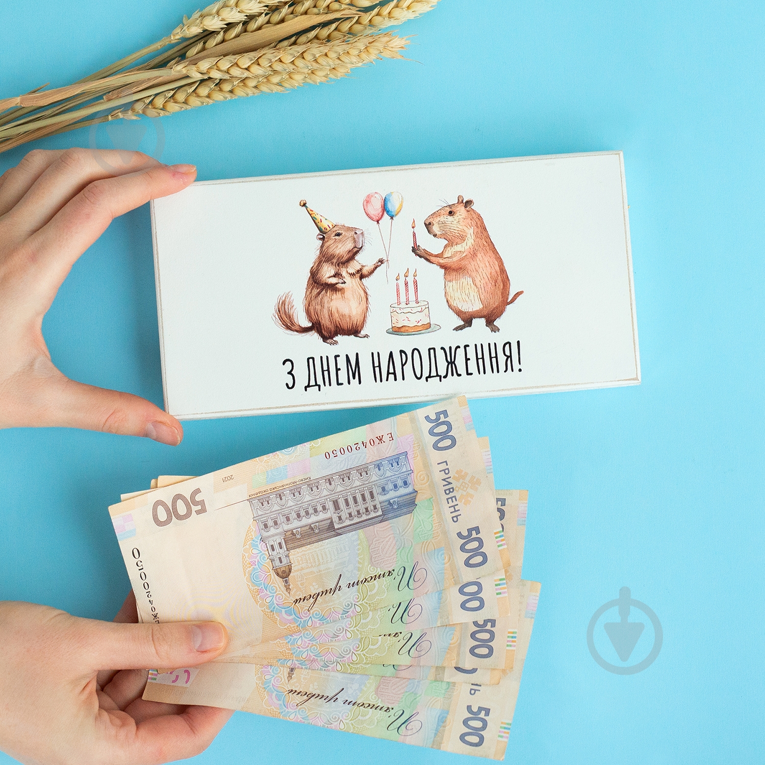 ᐉ Конверт для грошей З днем народження Капібари • Краща ціна в Києві Україні • Купити в Епіцентр