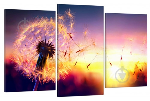 ᐉ Картина модульна 3 частини Кульбаба на заході сонця МК 30206 100x53 ...