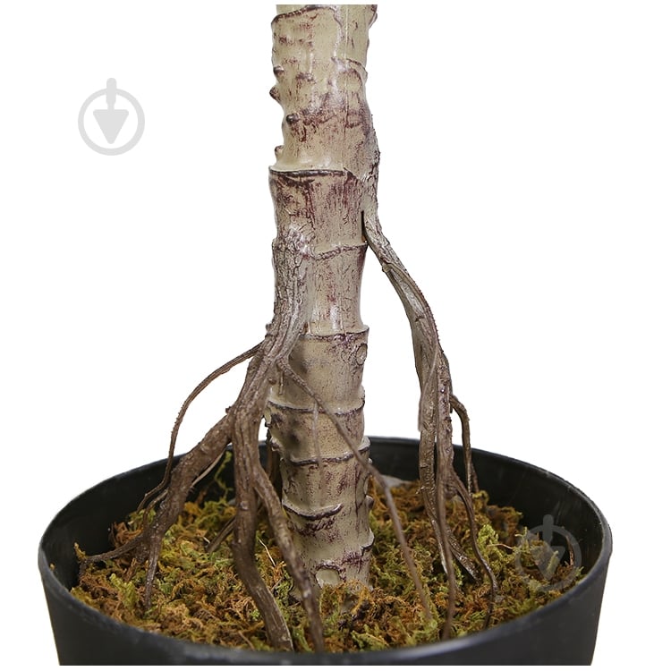 ᐉ Дерево штучне Fiddle (DW-04) Engard • Краща ціна в Києві, Україні • Купити в Епіцентр