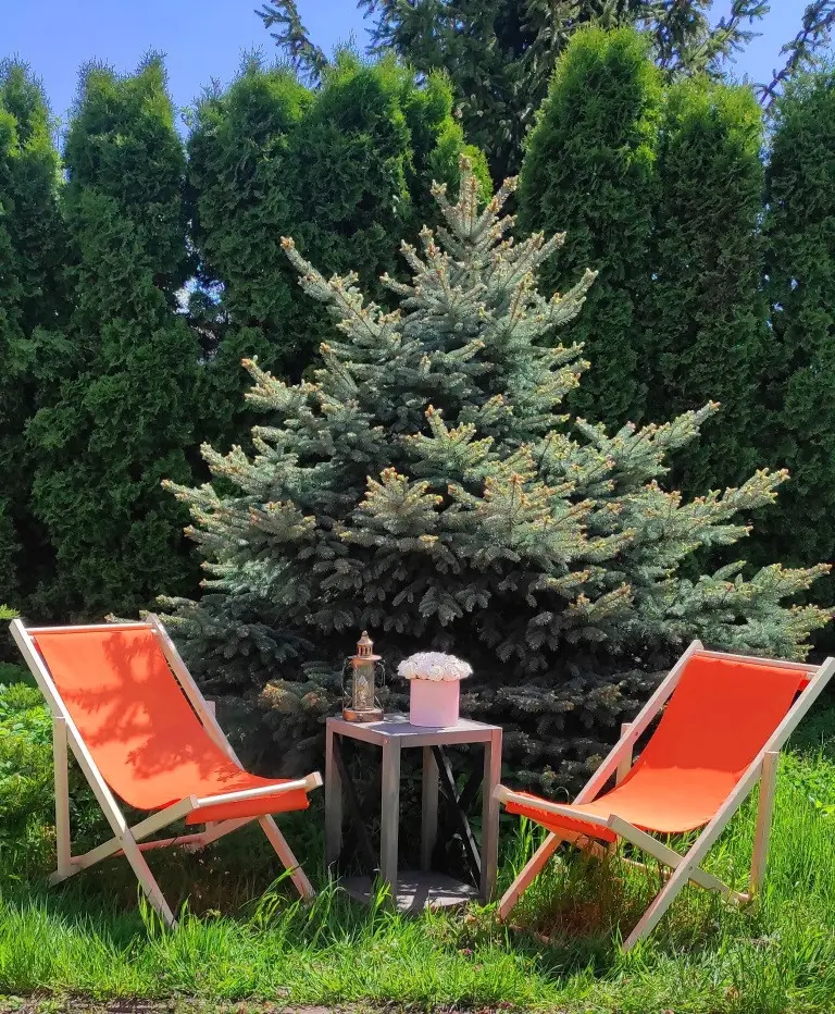 ᐉ Шезлонг для дачі Помаранчевий КШ 012 • Краща ціна в Києві Україні