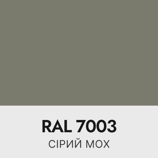 ᐉ Фарба для шкіри авто салону Euro Technology Максимальний RAL 7003 ...