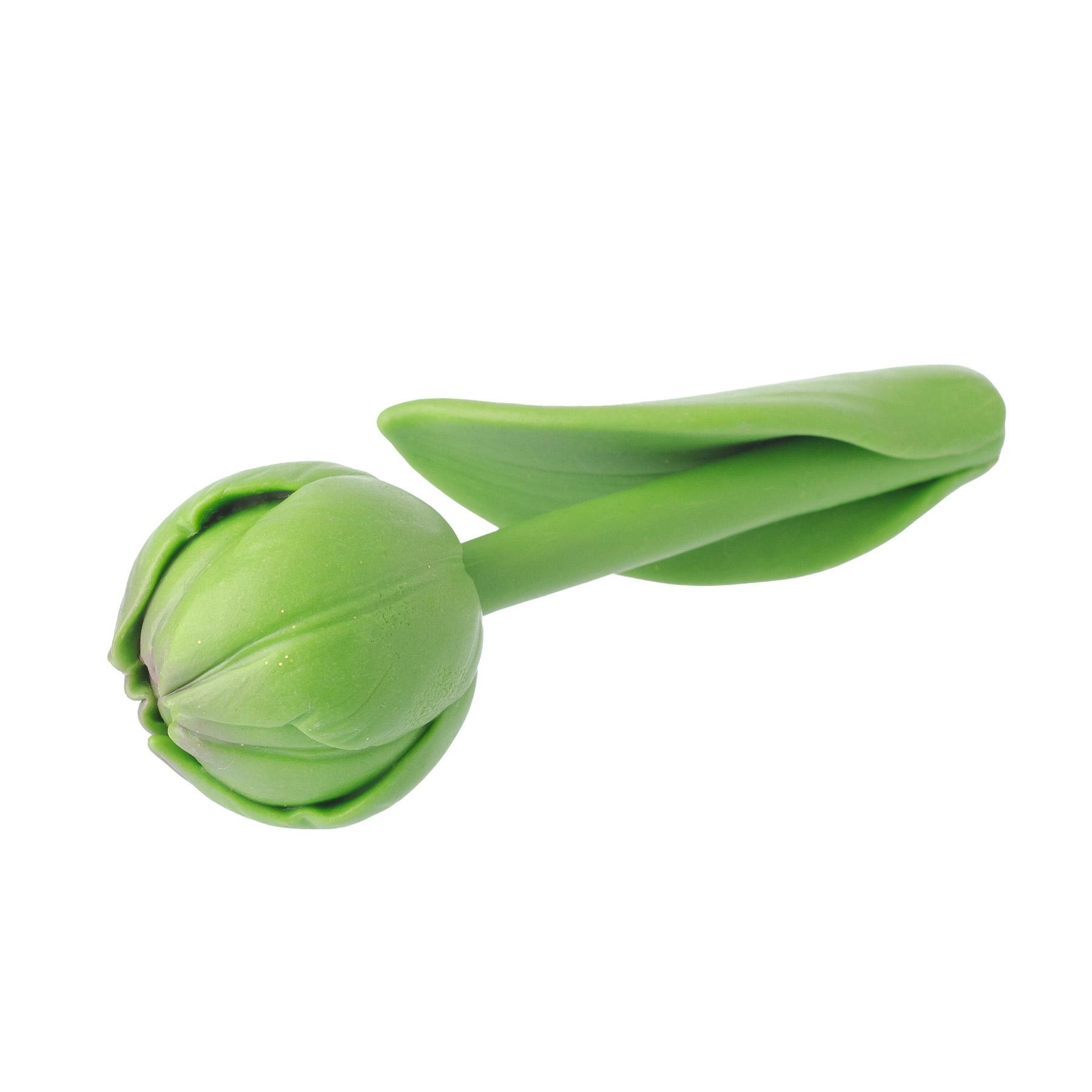 ᐉ Молд силіконовий бутон тюльпана на стеблі 8482 • Краща ціна в Києві Україні • Купити в Епіцентр