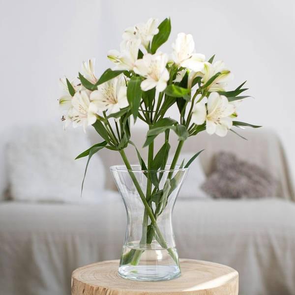 ᐉ Ваза скляна Trendglass Sandra 25 см • Краща ціна в Києві Україні • Купити в Епіцентр