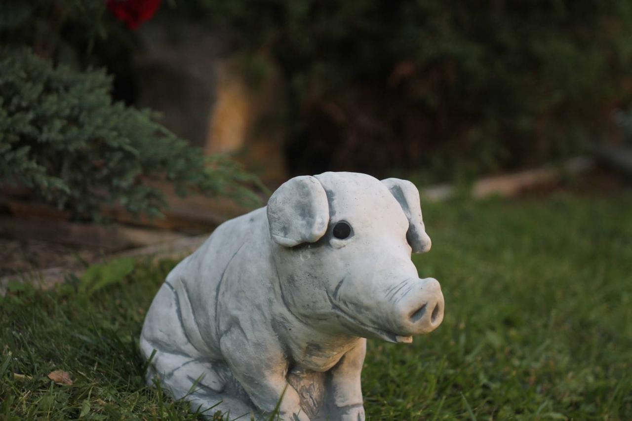 ᐉ Садова фігура статуетка Порося з цементу ручна робота 26 см 625302 • Краща ціна в Києві