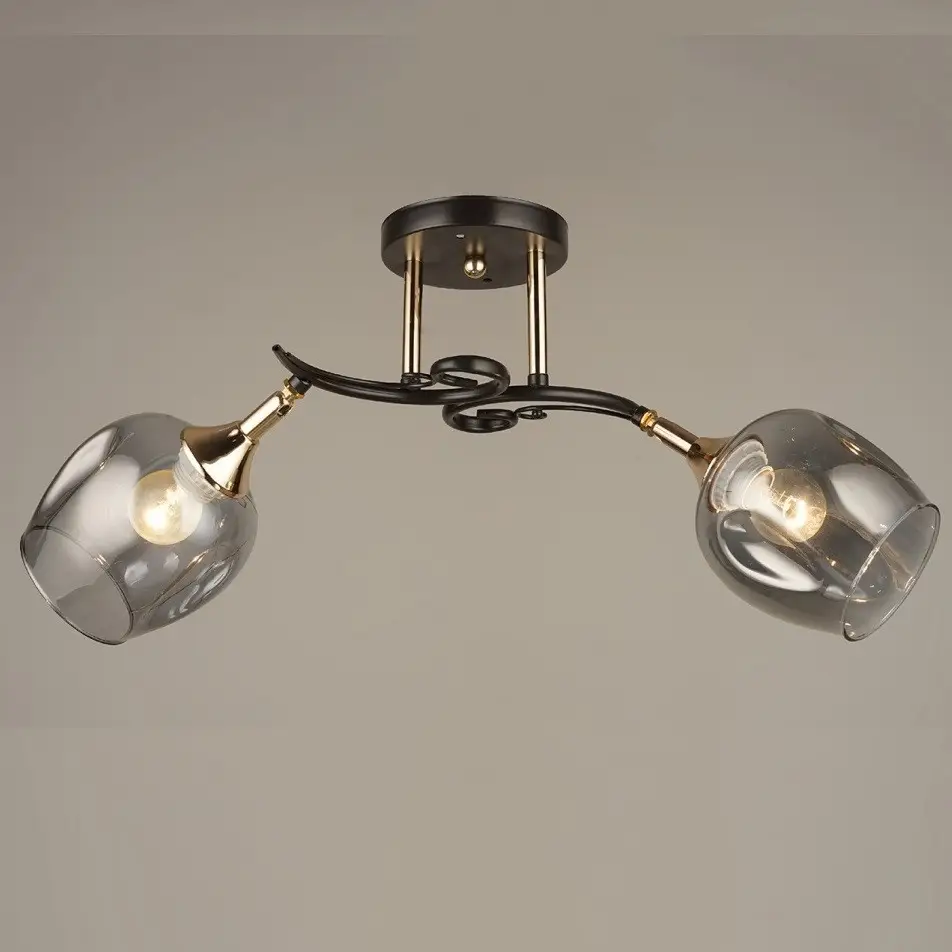 ᐉ Люстра потолочная Sirius B N4476/2 COFFEE/FGD с поворотным механизмом ...