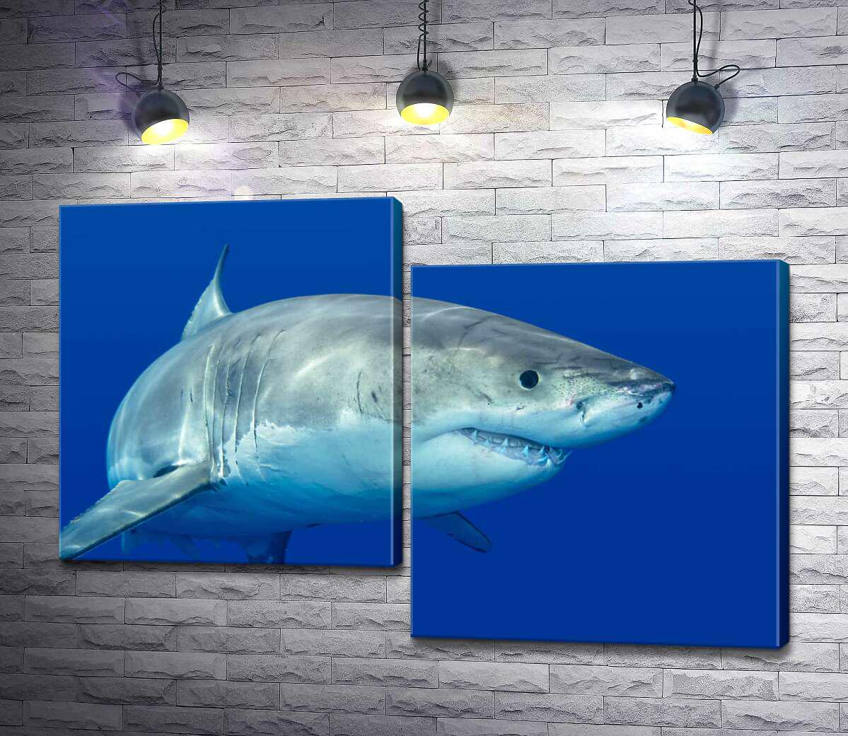 ᐉ Модульная картина ArtPoster Белая акула плавает в голубой воде 130x88 ...