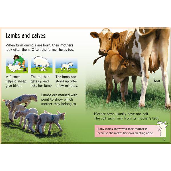ᐉ Книга Usborne "Farm Animals" Katie Daynes (ISBN:9780746074763 ...