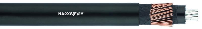 ᐉ Силовий інфраструктурний кабель NA2XS F2Y 1X95 RM/16 12/20kV Lapp • Краща ціна в Києві ...