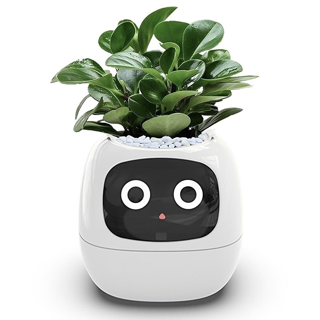ᐉ Горшок для домашних растений интерактивный Ivy Smart Planter Tuya White (Горщ_бел) • Купить в ...
