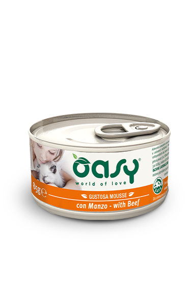 ᐉ Корм для взрослых кошек OASY Cat Говядина (11684482)