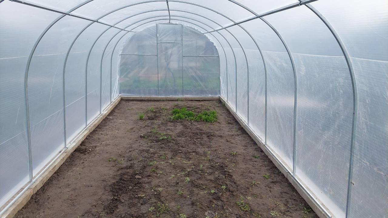 ᐉ Теплиця Оранжерея з оцинкованої квадратної труби з плівкою 150 мкм ...