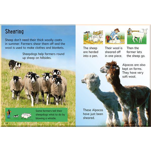 ᐉ Книга Usborne "Farm Animals" Katie Daynes (ISBN:9780746074763 ...