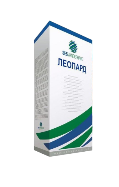 ᐉ Семена свеклы сахарной SESVANDERHAVE Леопард драже