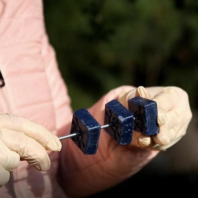 ᐉ Засіб від мишей та щурів Родентицид Талон RB ПБ воскові брикети 10 кг ...