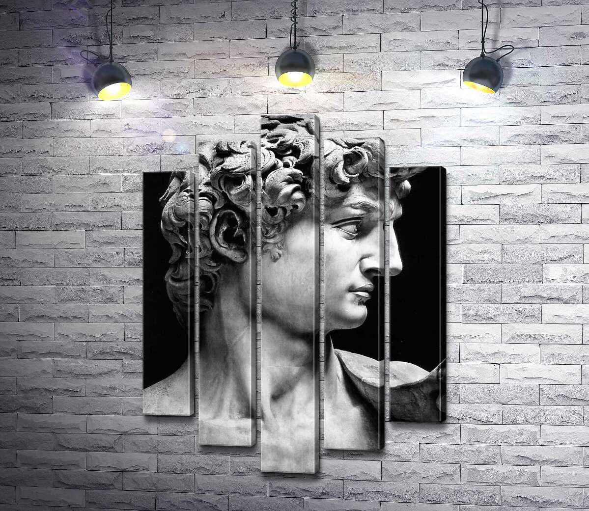 ᐉ Модульная картина ArtPoster Профиль скульптуры Давида (David ...