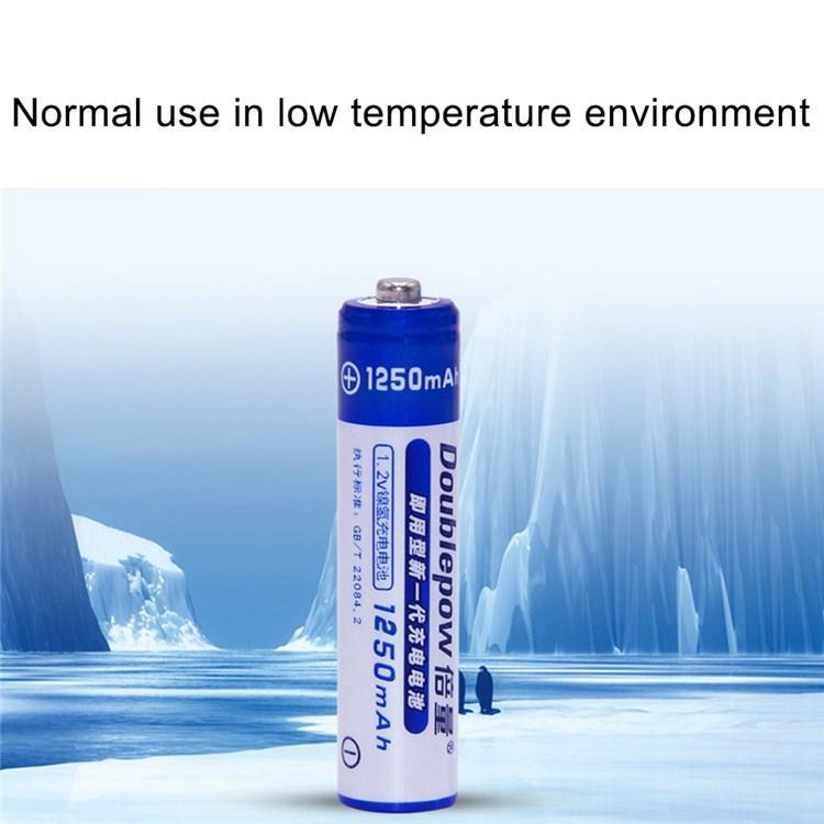 ᐉ Акумулятор Doublepow AAA 1250 mAh 1 шт. • Краща ціна в Києві, Україні ...