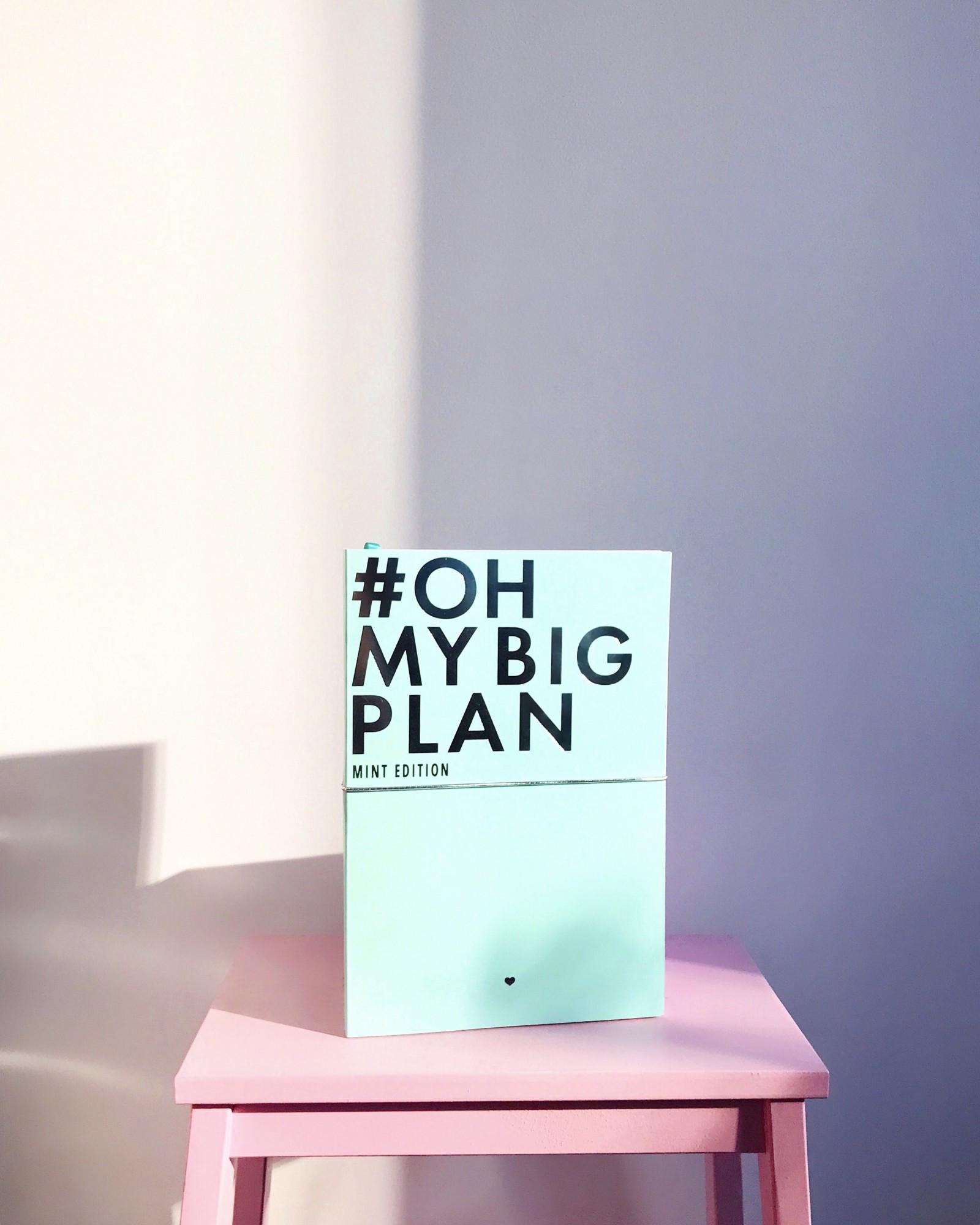 ᐉ Планер "OH MY BOOK OH MY BIG PLAN mint edition" В5 М'ятний • Краща ...
