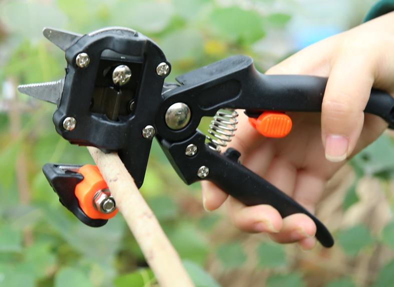ᐉ Ножиці садові для щеплення Titan Professional Grafting Tool • Краща