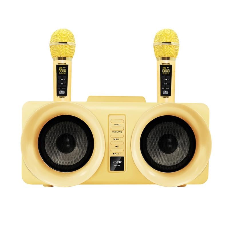 ᐉ Караоке колонка SDRD SD307 bluetooth с двумя микрофонами Золото