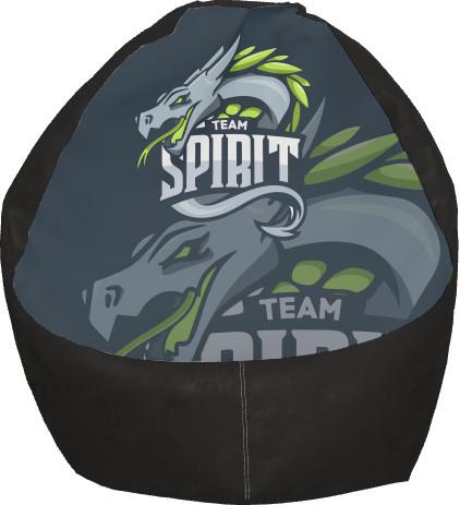 ᐉ Кресло-груша Team Spirit 2 M (13243639) • Купить в Киеве, Украине ...