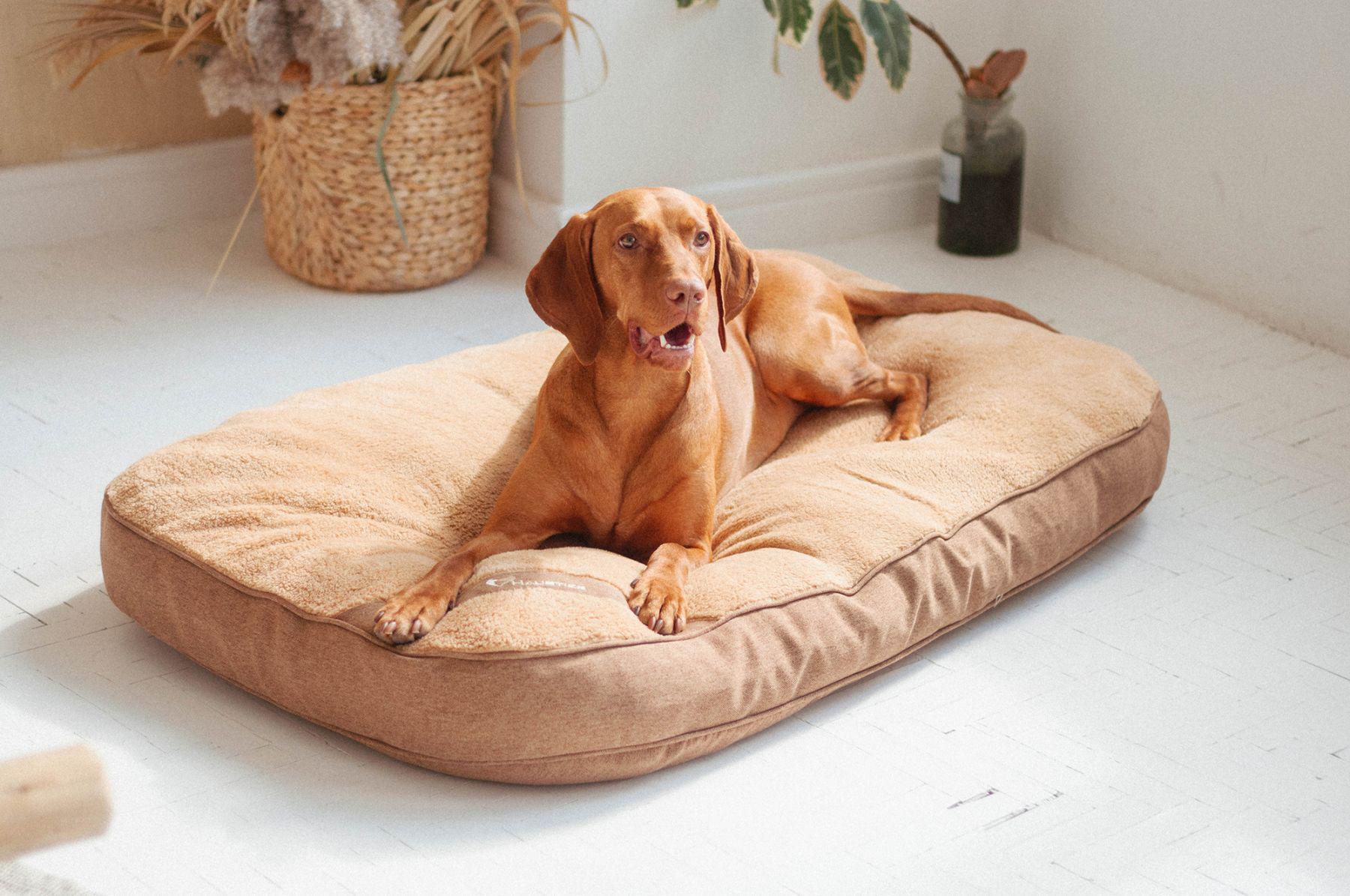 ᐉ Матрац для Cобак та котів Haustier Teddy Honey Xxl 120х80х11 см B4 1 041 • Краща ціна в